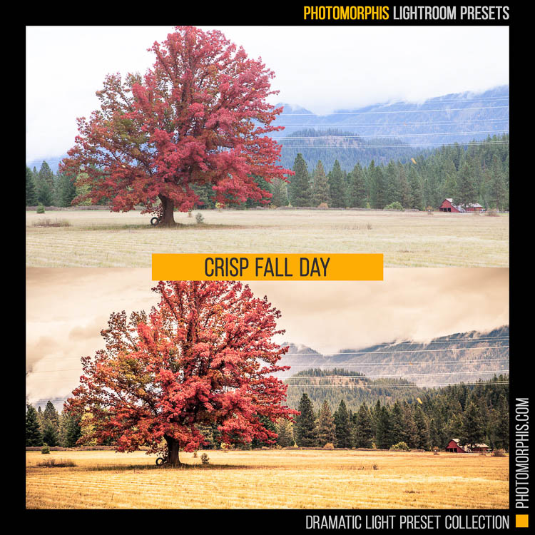 Crisp-Fall-Day - ON1