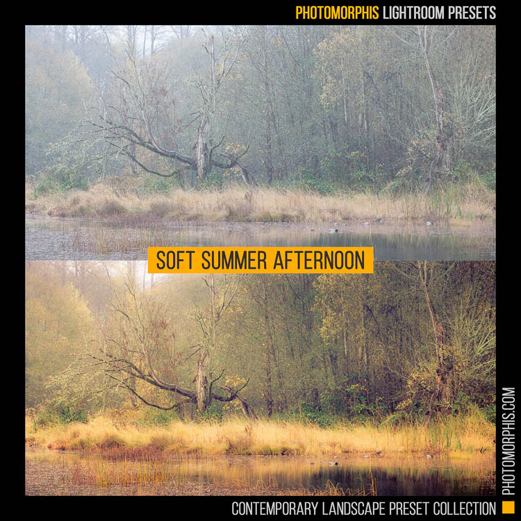 Soft-Summer-Afternoon - ON1