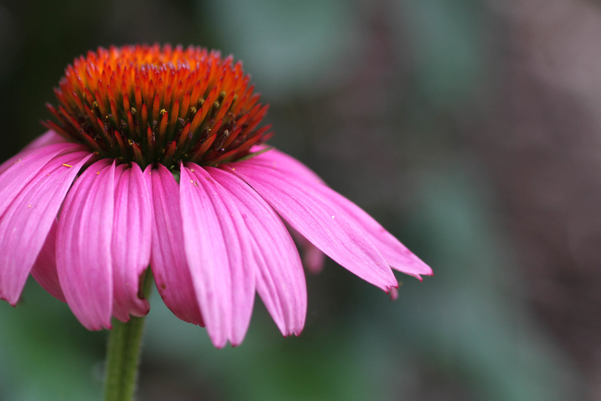 7 – Original - ON1