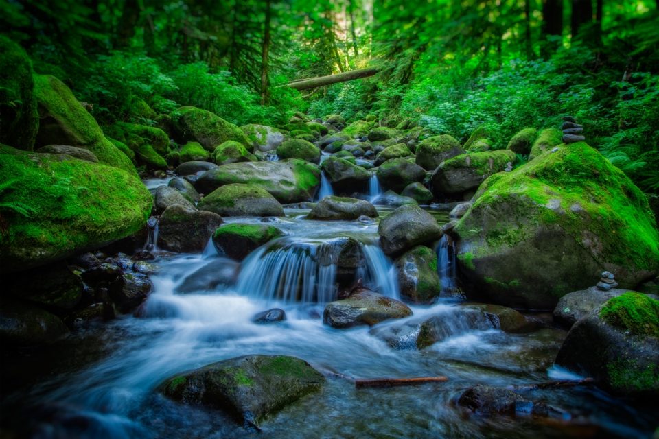 ON1 Photo Contest - ON1